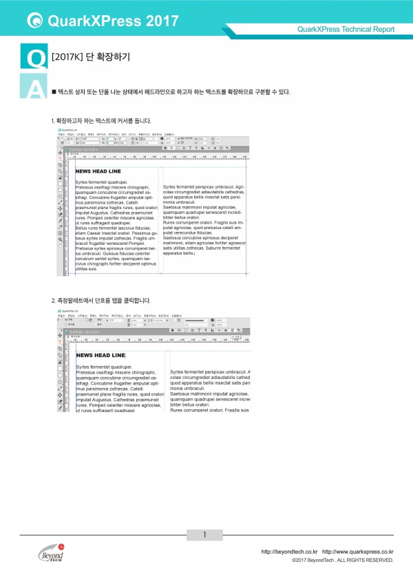 [2017K] 단 확장기능 > Case Study | Quark